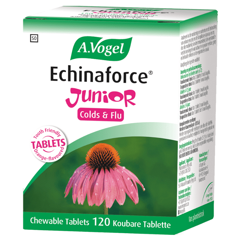 A Vogel Echinaforce Junior Chewable Tablets 120 | Buy Online in SA ...